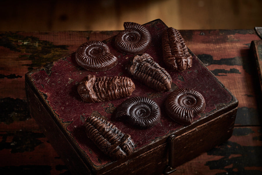 The Edible Museum | Hand Made Gift Chocolates