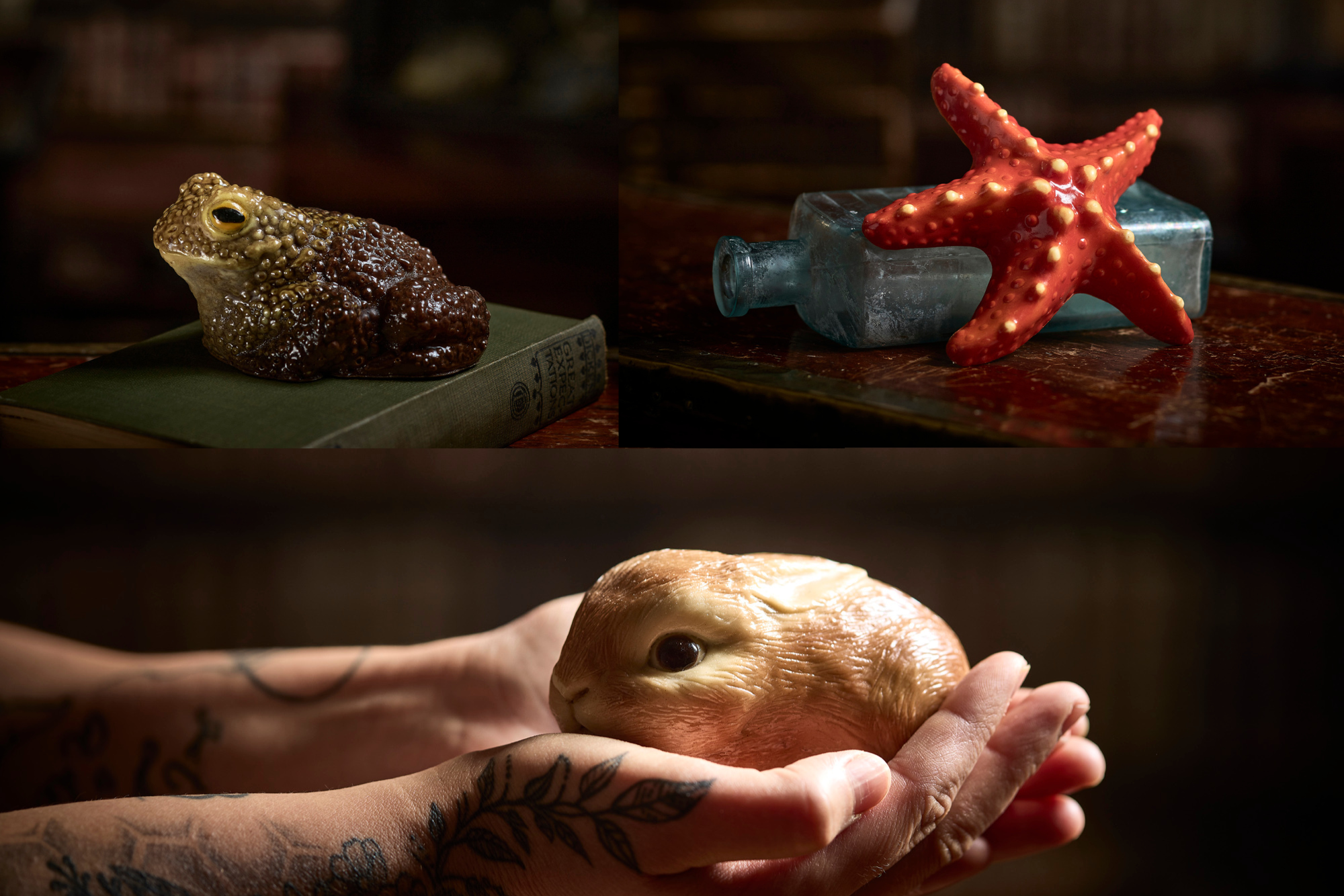 Chocolate Animal Bundle – The Edible Museum