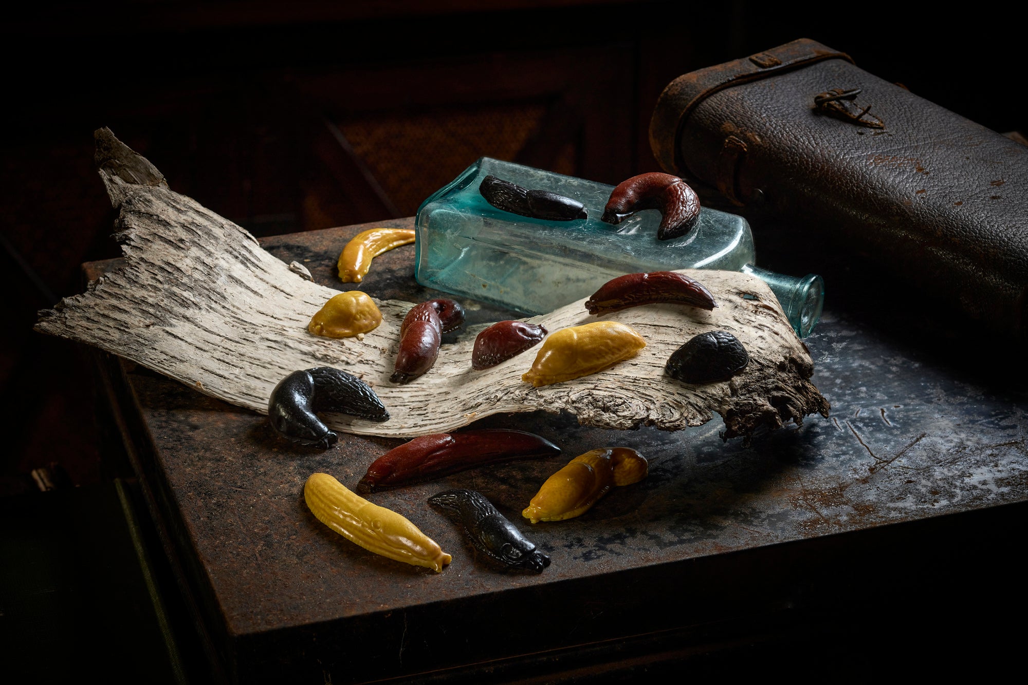 14 Chocolate Garden Slugs – The Edible Museum