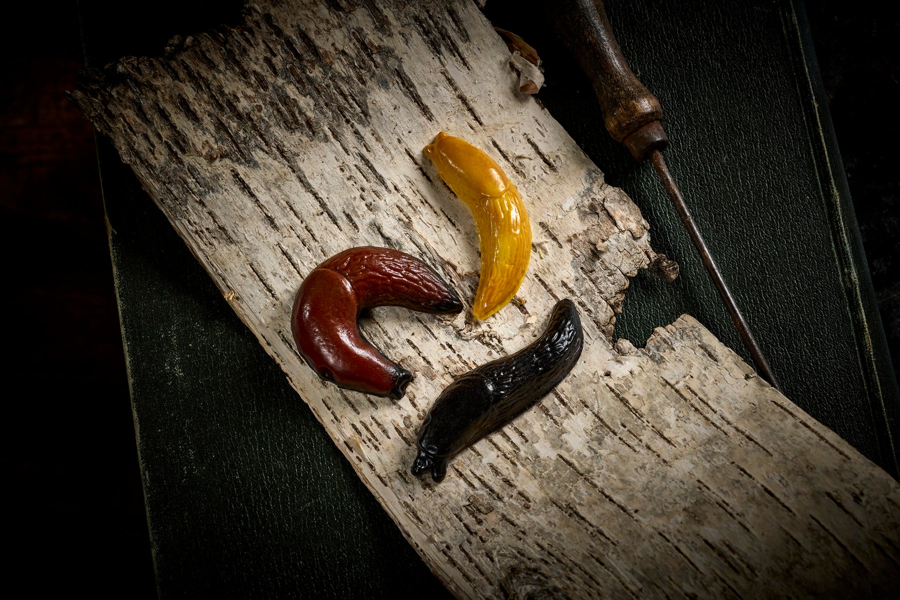 14 Chocolate Garden Slugs – The Edible Museum