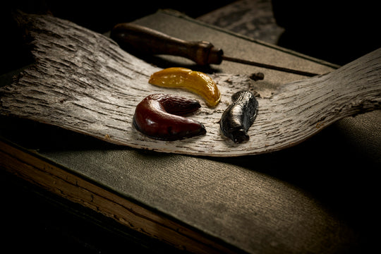 Chocolate Human Skull – The Edible Museum