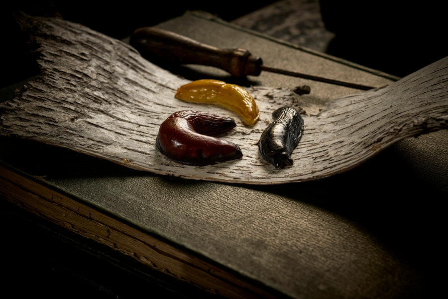 The Edible Museum | Hand Made Gift Chocolates
