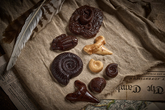 Chocolate Human Heart – The Edible Museum