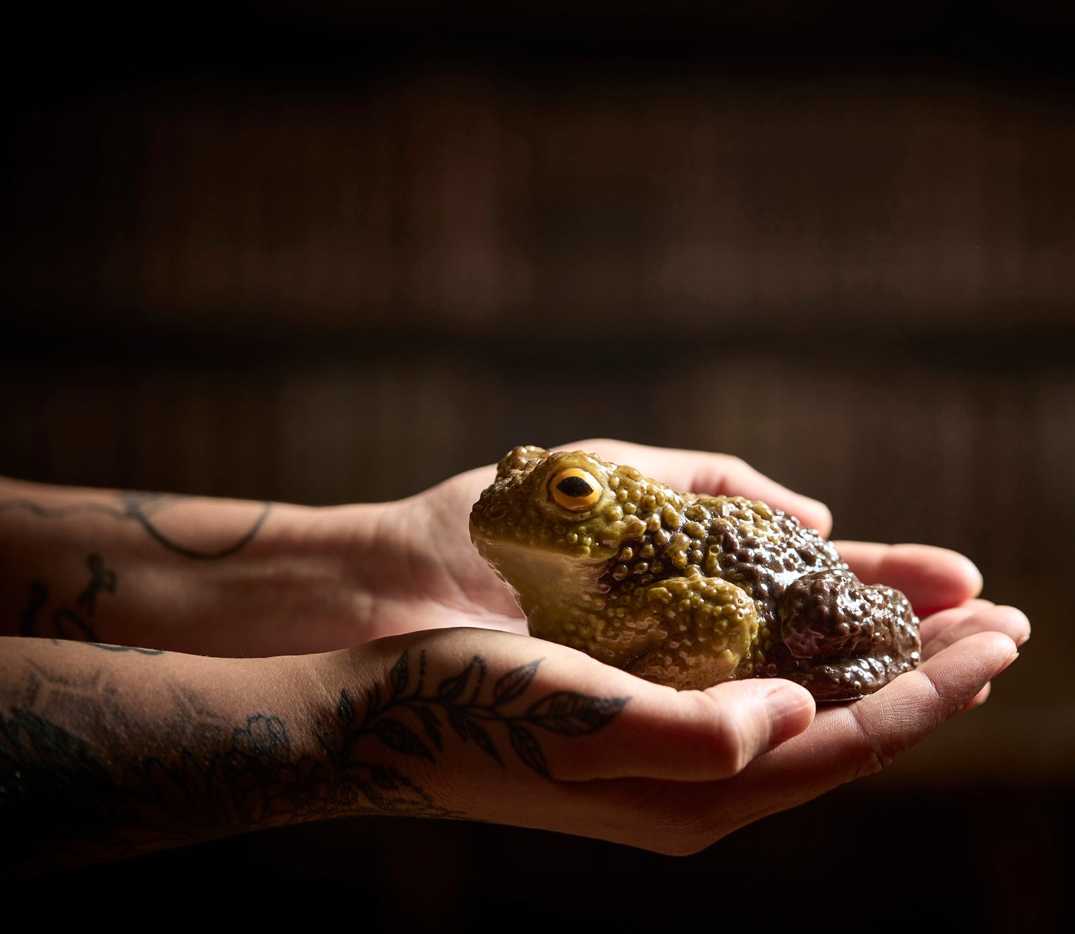 The Edible Museum | Hand Made Gift Chocolates