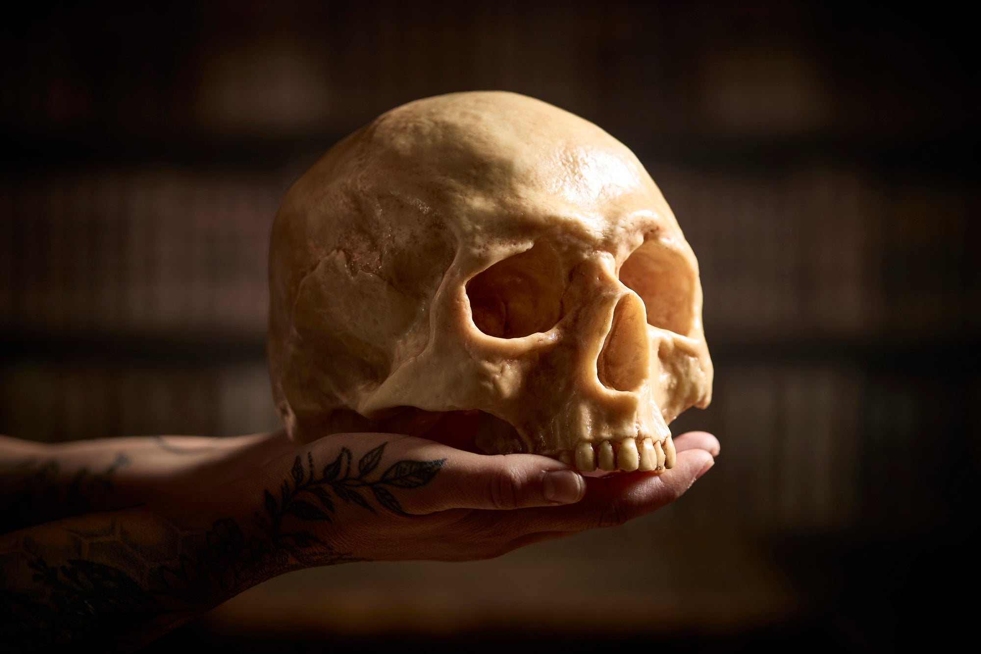 Chocolate Human Skull – The Edible Museum