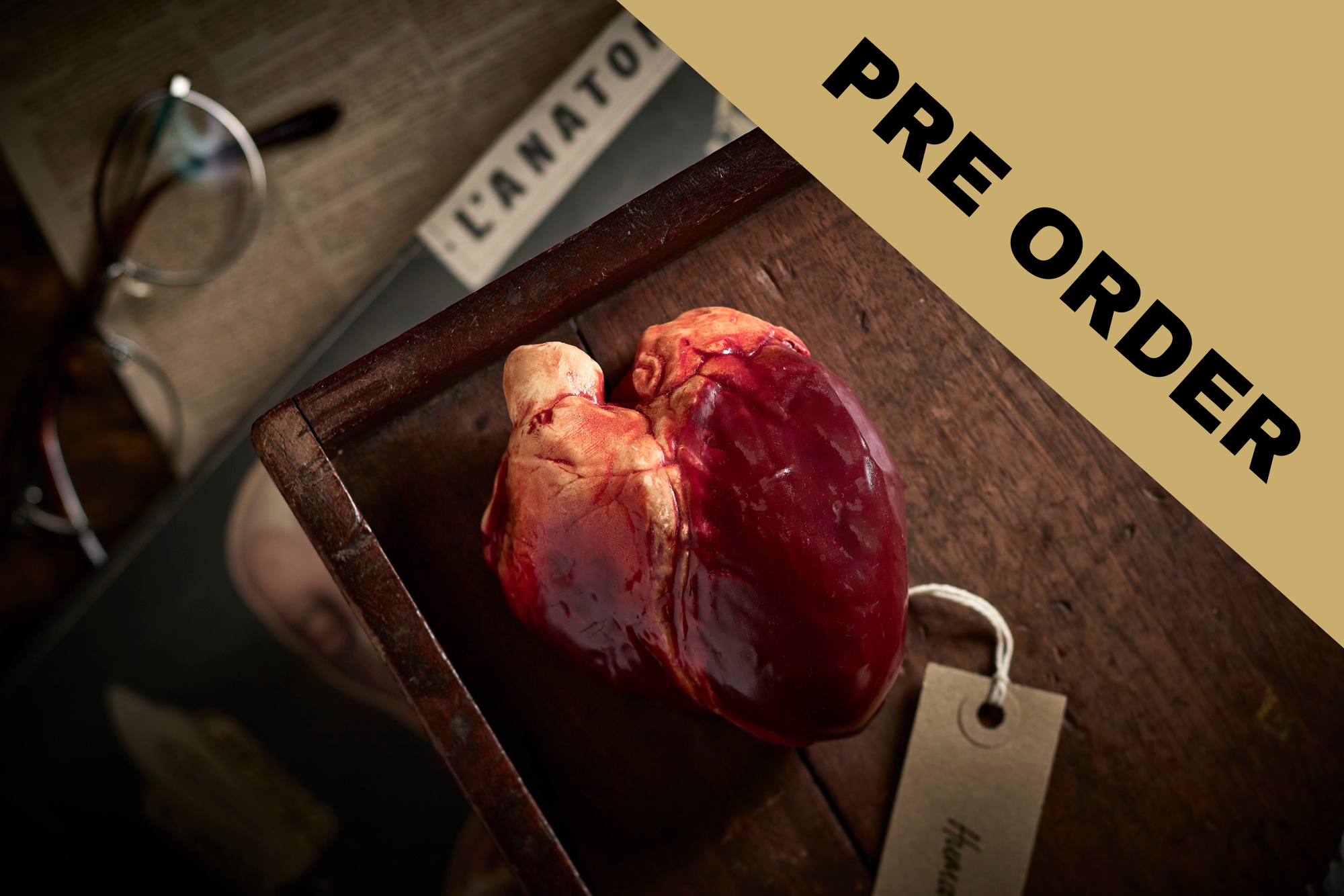 Pre-Order Chocolate Human Heart | Halloween Gift by Edible Museum – The ...