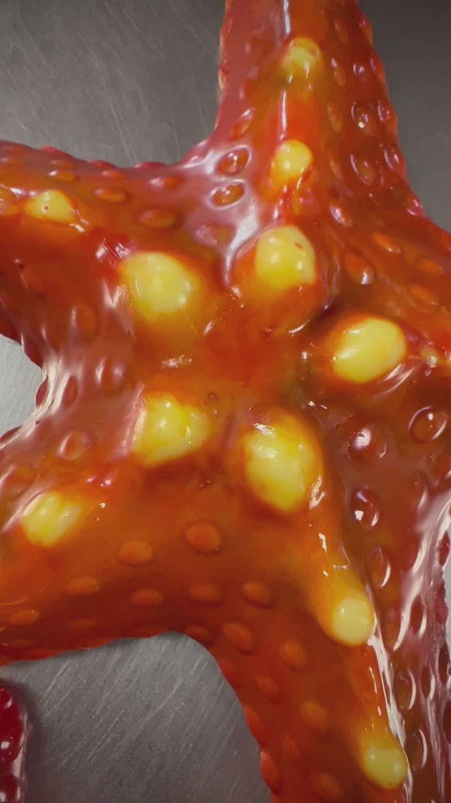 Chocolate Starfish – The Edible Museum