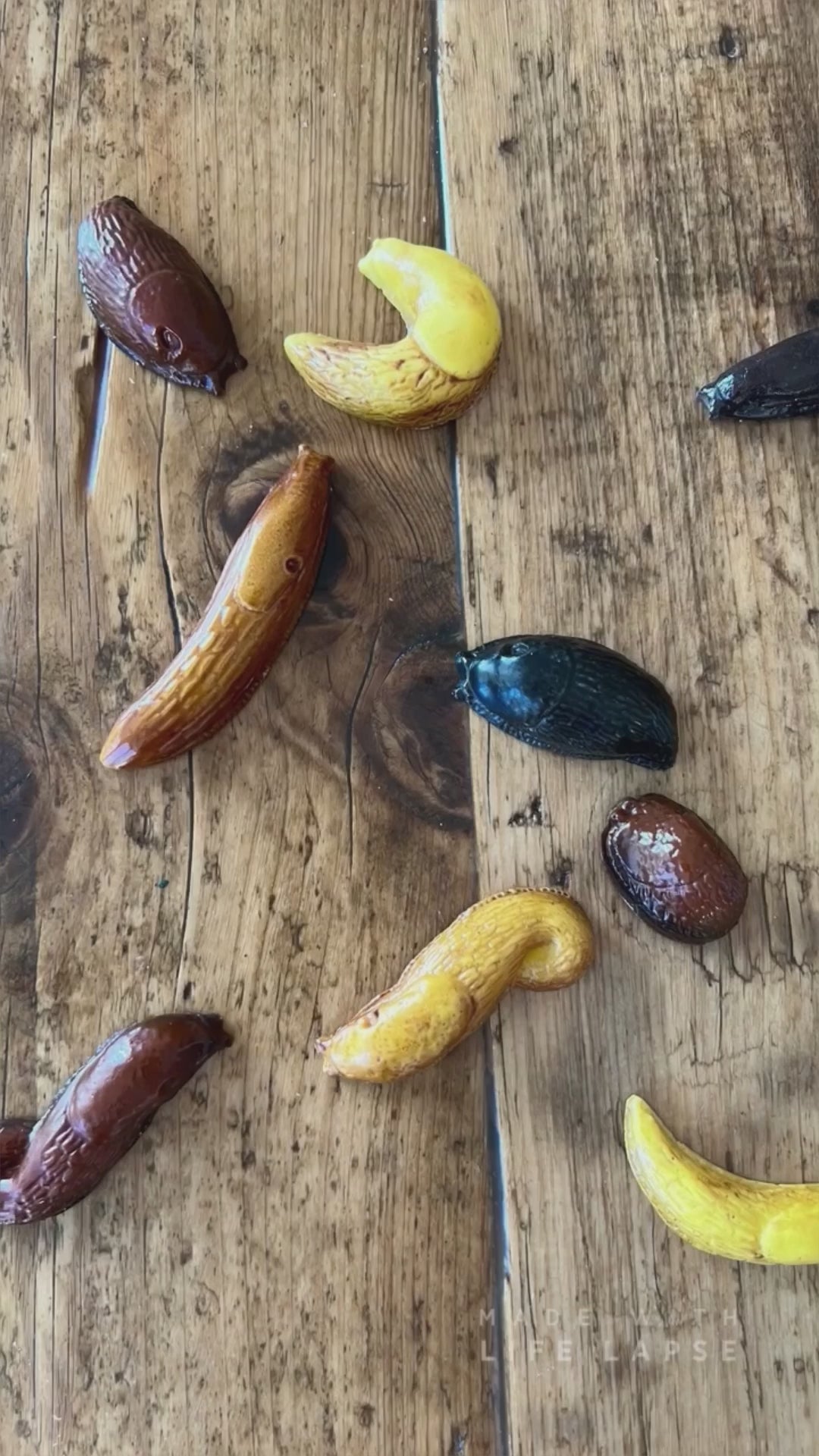 14 Chocolate Garden Slugs – The Edible Museum